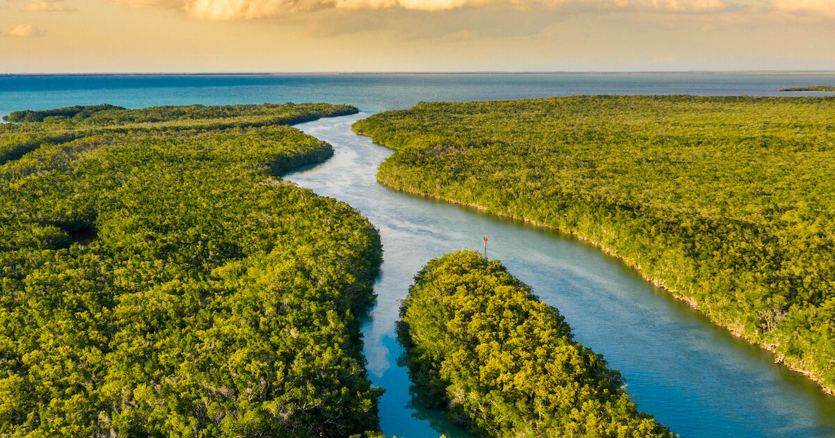 EOSi | Sustainability